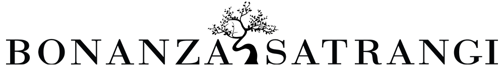 About Us – Bonanza Satrangi